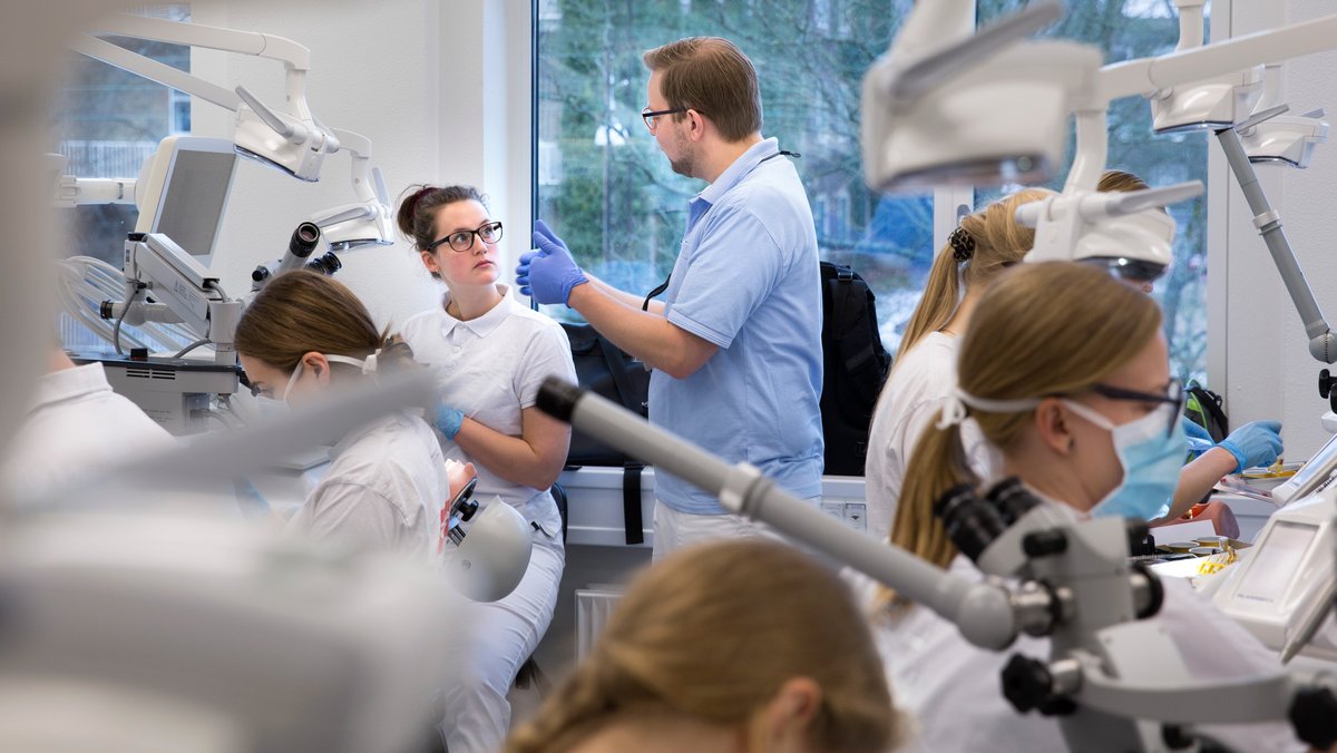 New curriculum for the Master's degree programme in dentistry is ready